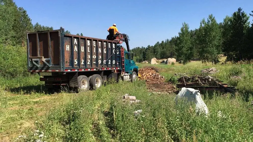 What Can and Can't Go in a Dumpster Rental